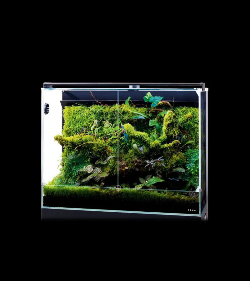 DOOA System Paluda 60 - Aqua Club